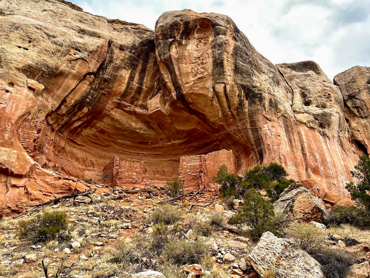 The best hike in Canyons of the Ancients National Monument - Journeys ...